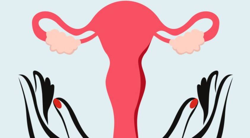 5 steps to a healthy uterus | TheHealthSite.com
