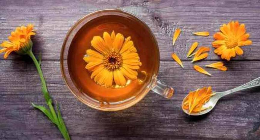 Calendula: A Blissful Natural Ingredient For Your Baby’s Skin ...