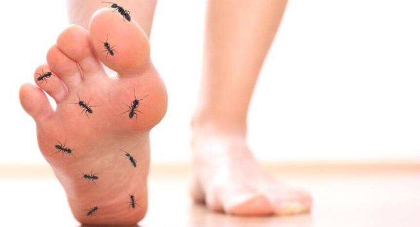 7 symptoms of Multiple Sclerosis (MS) you should know! | TheHealthSite.com