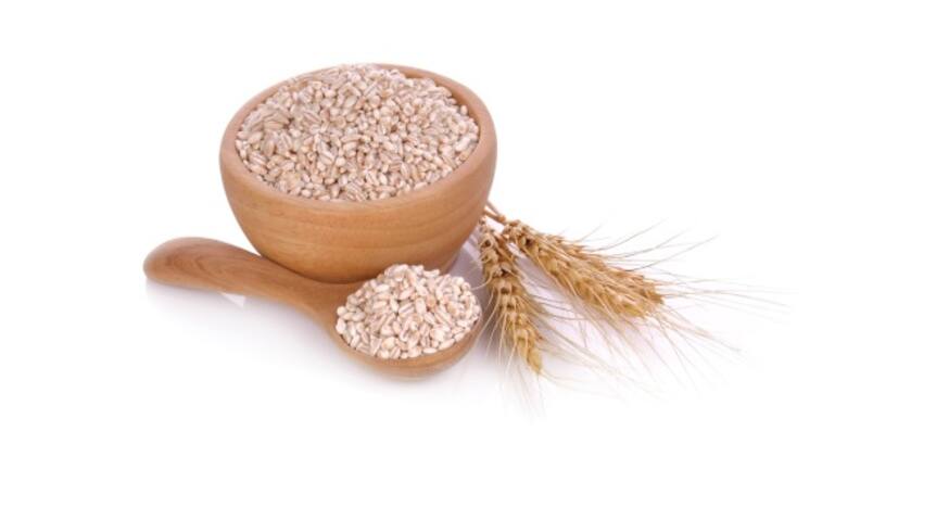 5 gluten-free substitutes of wheat that you can include in you diet ...