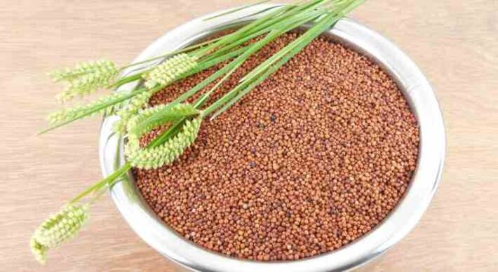 4 Indian ancient grains you should include in your diet | TheHealthSite.com