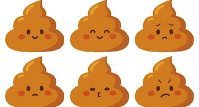 Why does your poop float? | TheHealthSite.com