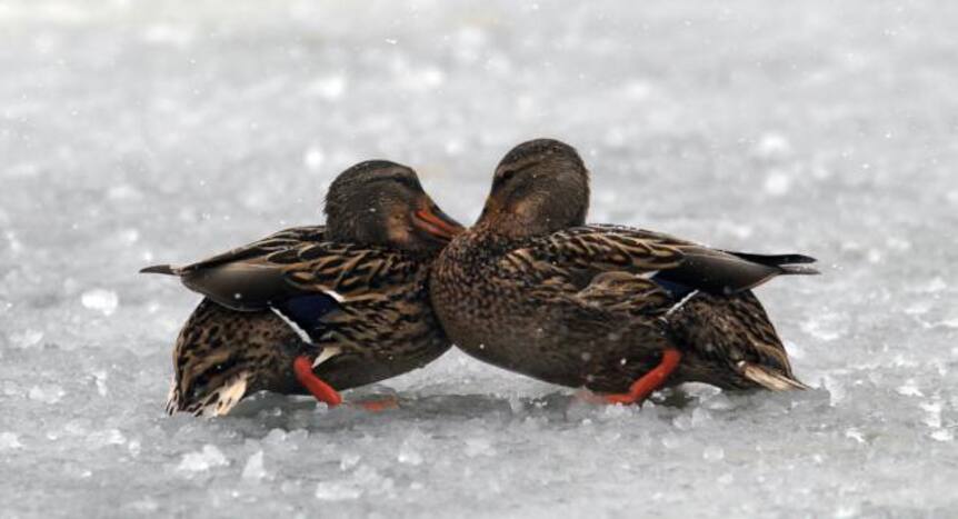 4 most USELESS research studies that will make you ask, why, oh why ...