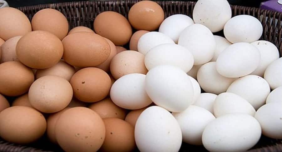 Contamination of eggs poses high risk to food safety | TheHealthSite.com