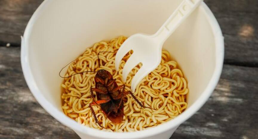 Maggots, human hair +5 other gross things that may be present in your ...