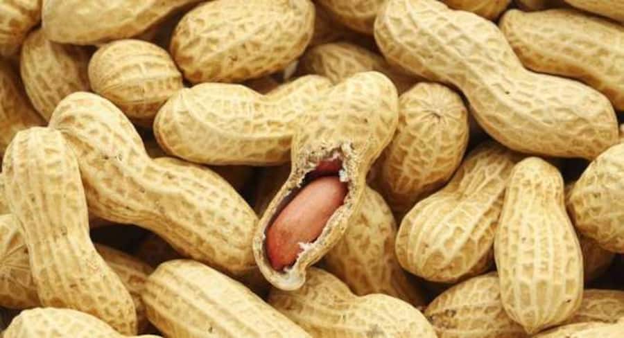 This is why you should eat peanuts regularly | TheHealthSite.com