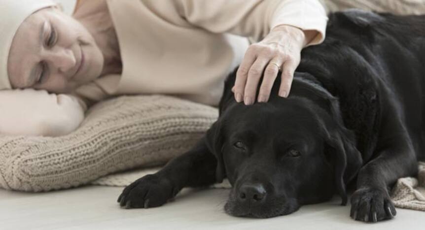 Animal Assisted Therapy - How animals help humans combat health ...
