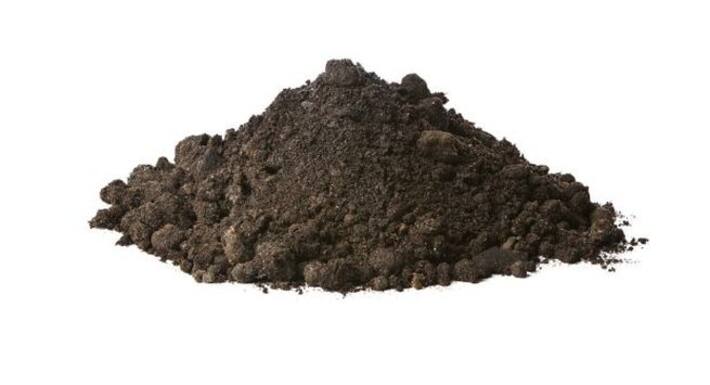 5 things you should NEVER apply on burns | TheHealthSite.com