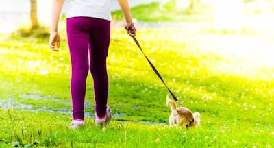 Excuses people give to avoid walking every day | TheHealthSite.com