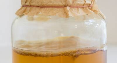 Here's how you can make kombucha (probiotic black tea) at home ...