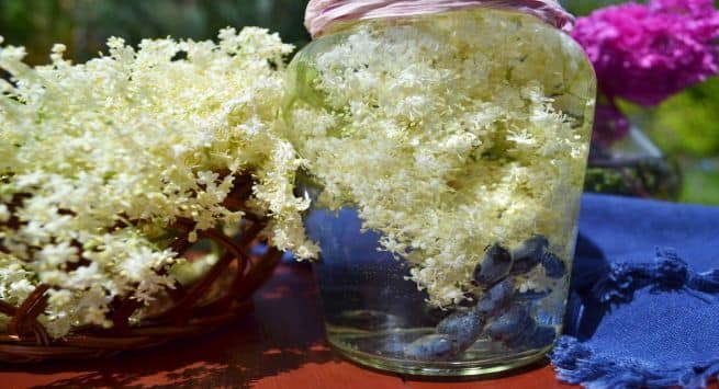 Flower-infused drinking waters you must try this summer | TheHealthSite.com