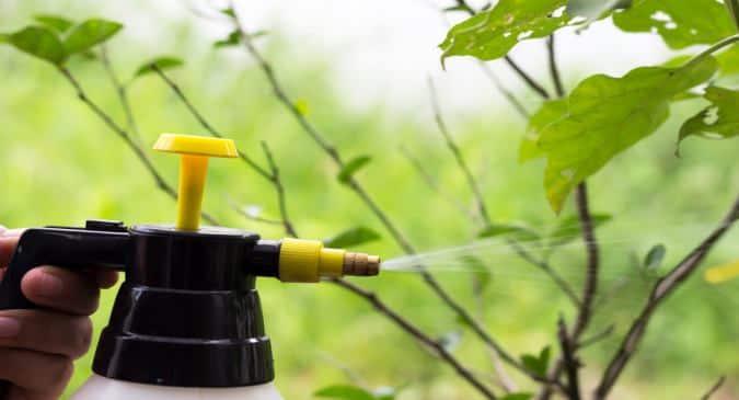 'Ban toxic insecticides' | TheHealthSite.com