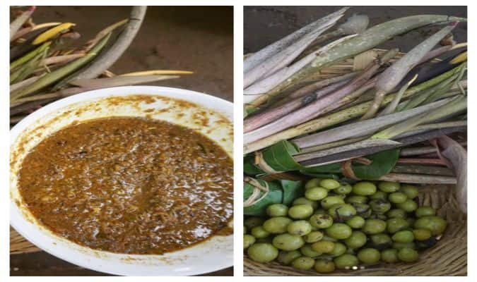 Rujuta Diwekar shares health benefits of shevla bhaaji or dragon stalk ...