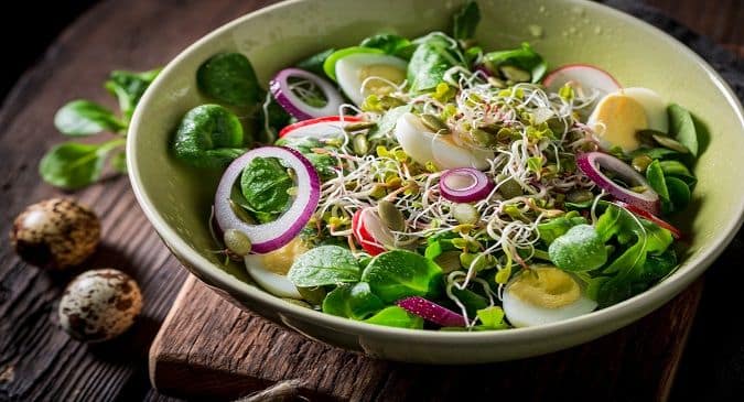 Meet Dr. Sprouts for better digestion, anaemia and more | TheHealthSite.com
