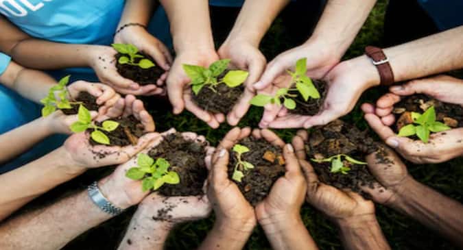 आज लगाएंगे पेड़, तो ही सेहत बचेगी कल : रघुबर दास | TheHealthSite.com हिंदी