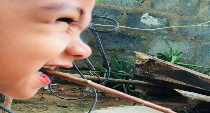 Neem twig or datun for brushing teeth: Step-by-step guide ...