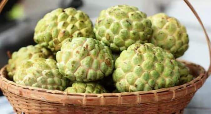 शरीफा के ये 8 फायदे जानेंगे, तो खाने से नहीं कर सकेंगे मना ...