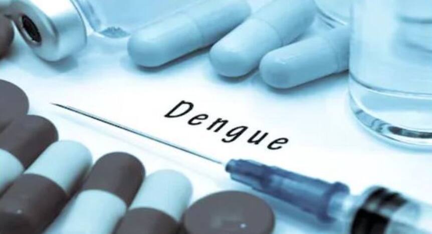 Nature's way of curing dengue | TheHealthSite.com