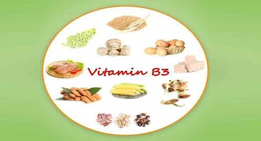 5 Vitamin B3 rich foods to eat to keep yourself healthy | TheHealthSite.com