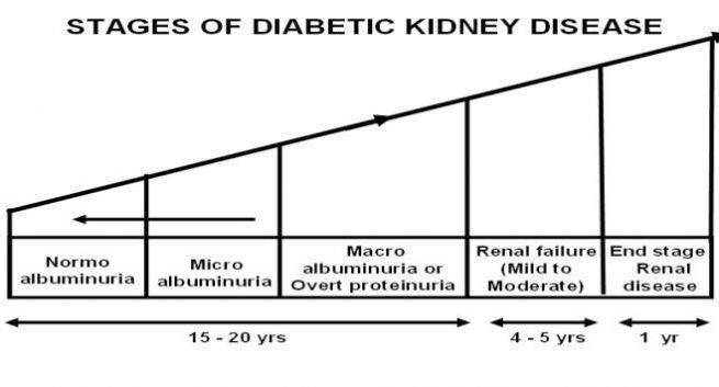 What you should know about diabetic kidney disease | TheHealthSite.com