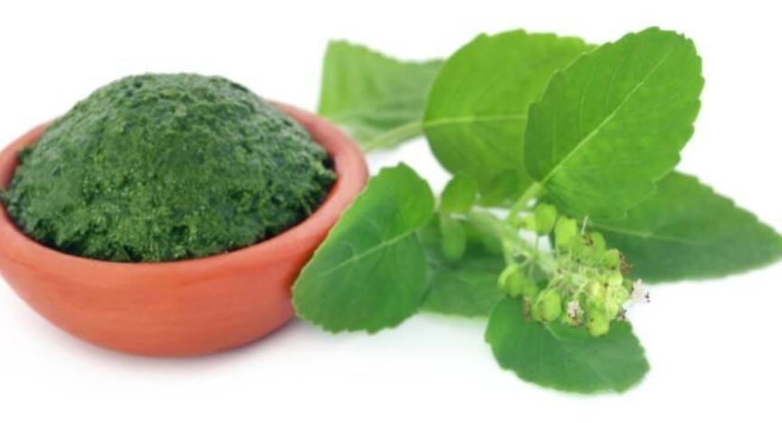 7 ways to use tulsi to banish acne and acne scars | TheHealthSite.com