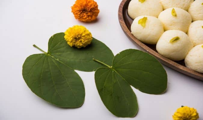 Dusshera special: Medicinal benefits of sona or apta leaf or Bauhinia ...