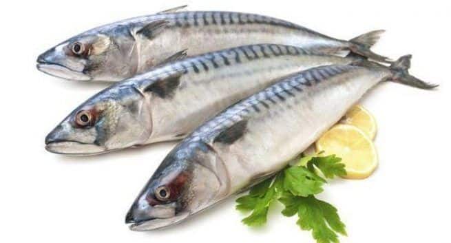 Eating fatty fish may reduce childhood asthma | TheHealthSite.com