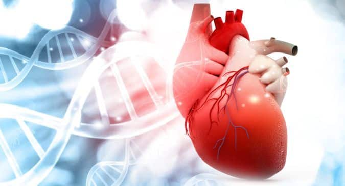 New procedure repairs leaking heart valve without surgery ...