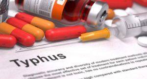 Everything you need to know about typhus | TheHealthSite.com