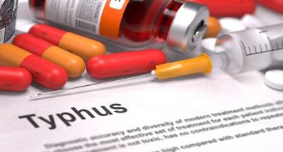 Everything you need to know about typhus | TheHealthSite.com