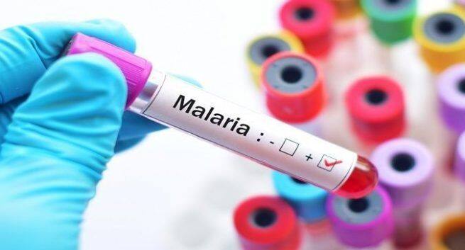 Here's how anti-malaria drugs help in treating cancer | TheHealthSite.com