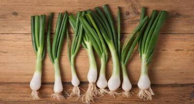 Scallions or spring onion, call it anything but add it to your diet ...