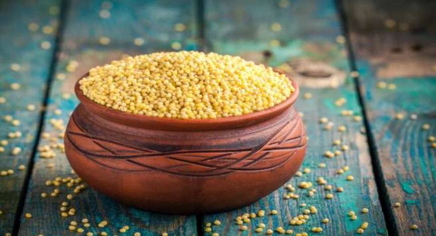 Include bajra in your diet and see its health benefits yourself ...