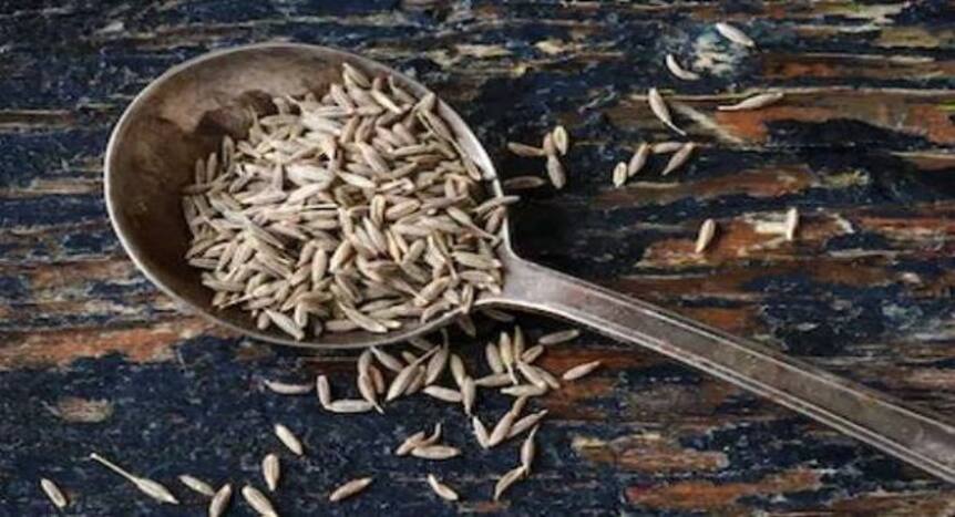 Are you pregnant? Eat these beneficial superfoods | TheHealthSite.com