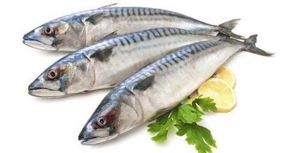 Did you know? Fish mucus may offer potential new antibiotics ...