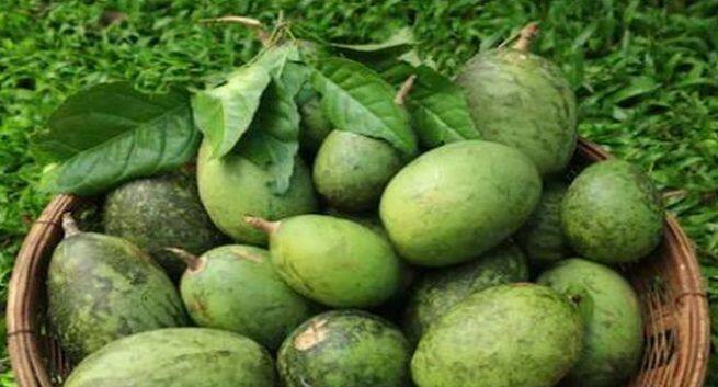 शिवरात्रि : इन 8 बीमारियों से छुटकारा दिलाता है बेल का सेवन