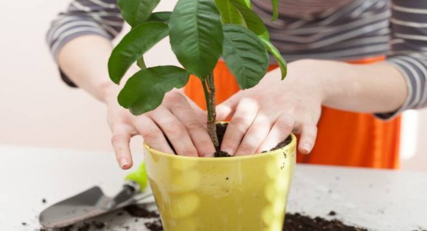 Did you know? Excessive hygiene may lead to antibiotic resistance ...