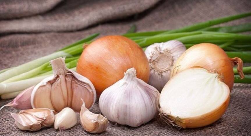 World Malaria Day: Eat these parasite killing foods to beat malaria ...