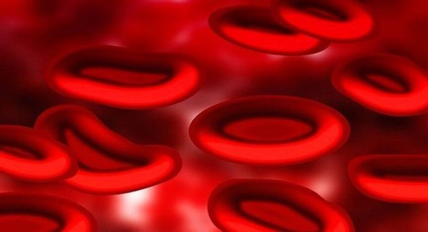 Here are the 5 most common blood disorders you should know about ...