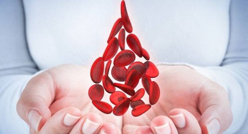 Here are the 5 most common blood disorders you should know about ...