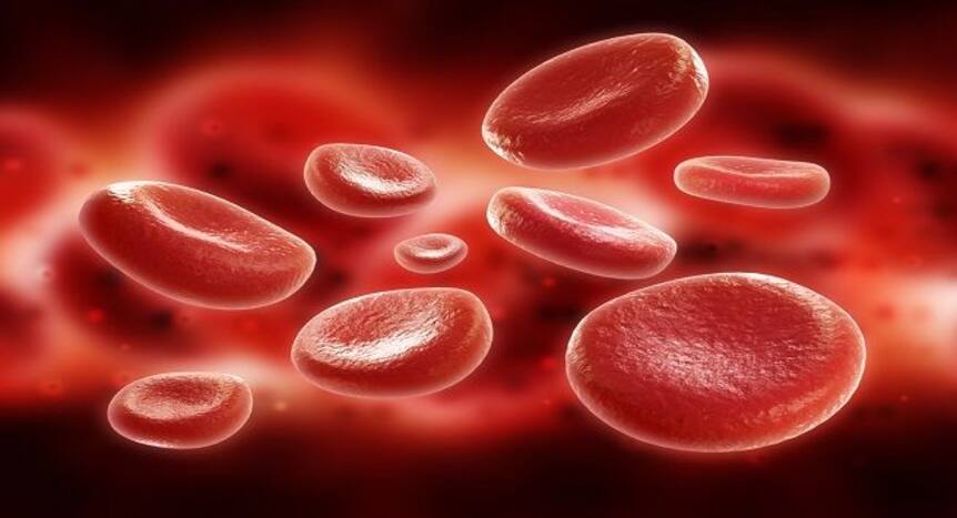 Here are the 5 most common blood disorders you should know about ...
