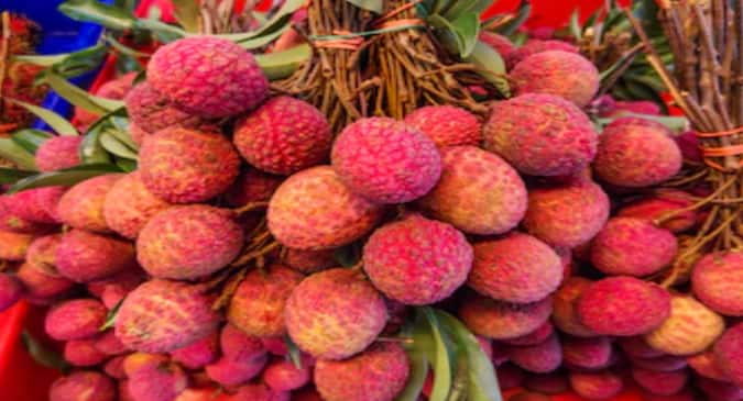 Acute Encephalitis Syndrome | litchis | TheHealthSite.com ...