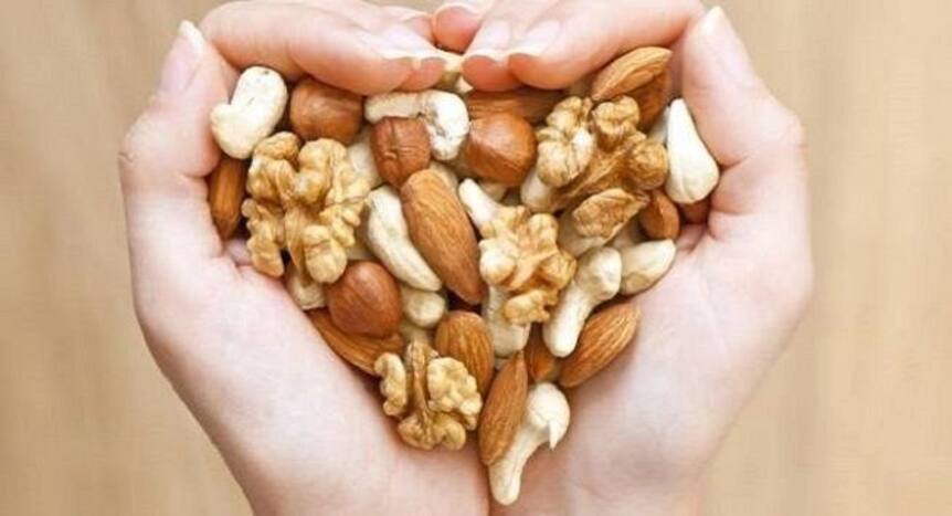 Nuts can help maintain your cardiovascular health, here is how ...