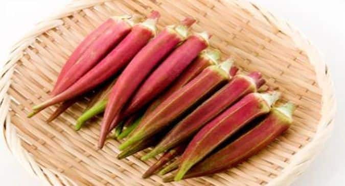 Red lady finger : दिल की सेहत के लिए फायदेमंद बताई जा रही है लाल रंग की ...