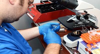 Scientists discover world's first blood incubator, Pregnant women ...