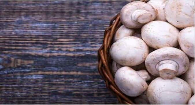 White Foods Benefits : इन 5 सफेद चीजों को नियमित खाएंगे, तो रहेंगे ...