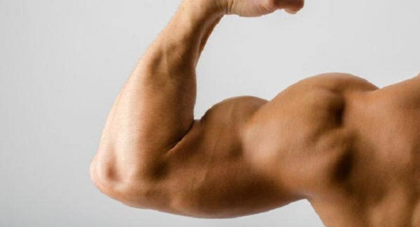 These exercises will help you build biceps at home without any weights ...
