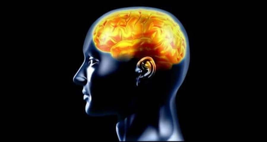 13 milliseconds - The time it takes for your brain to process an image ...