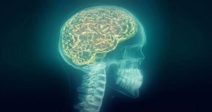 Revealed - What happens to your brain when you're learning ...