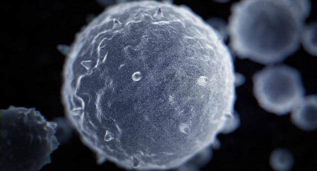 Cold virus could overpower cancerous cells! | TheHealthSite.com